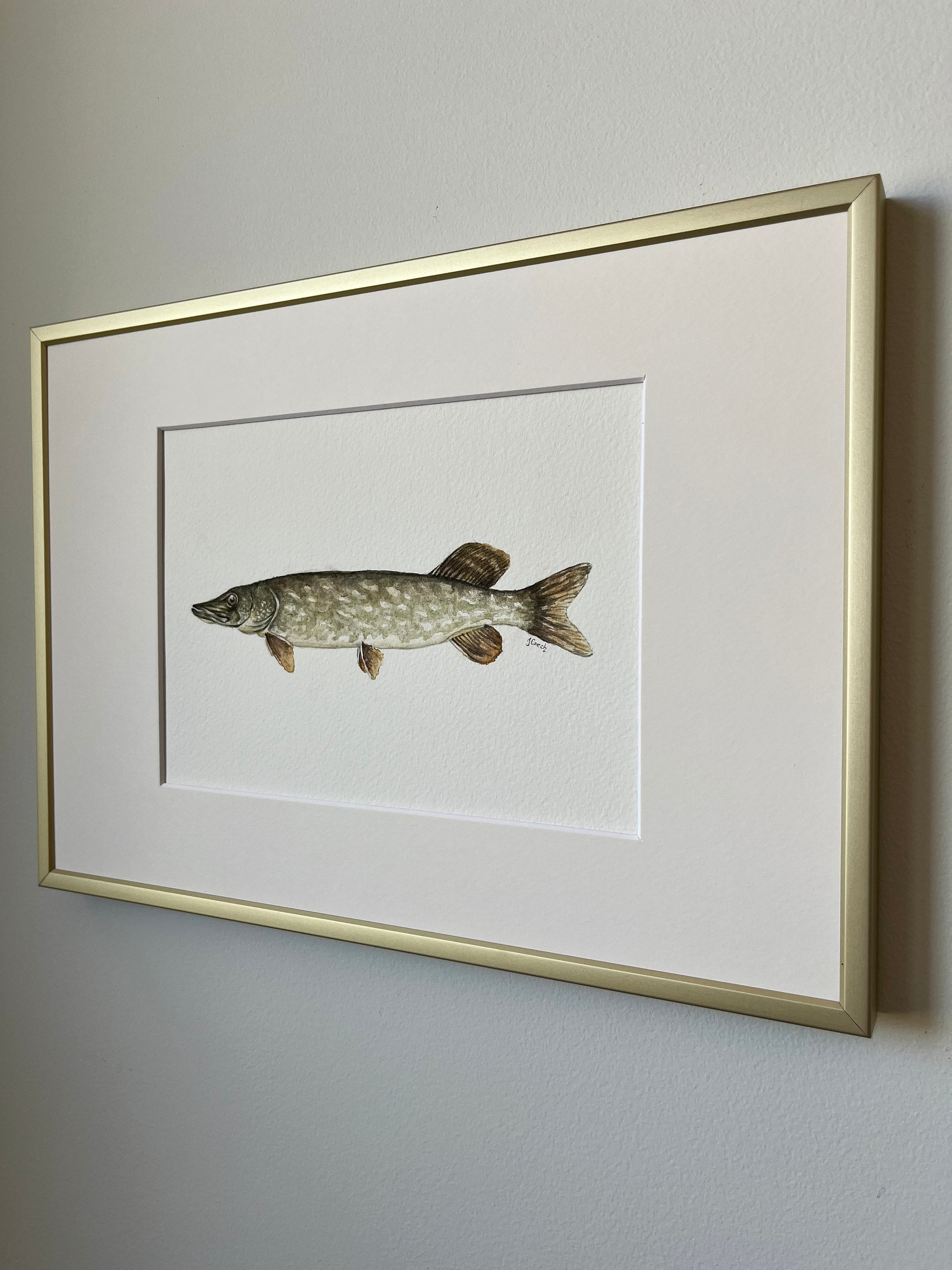 Pike Fish Realistic Watercolor Painting, Framed Art for Home, Gift for ...