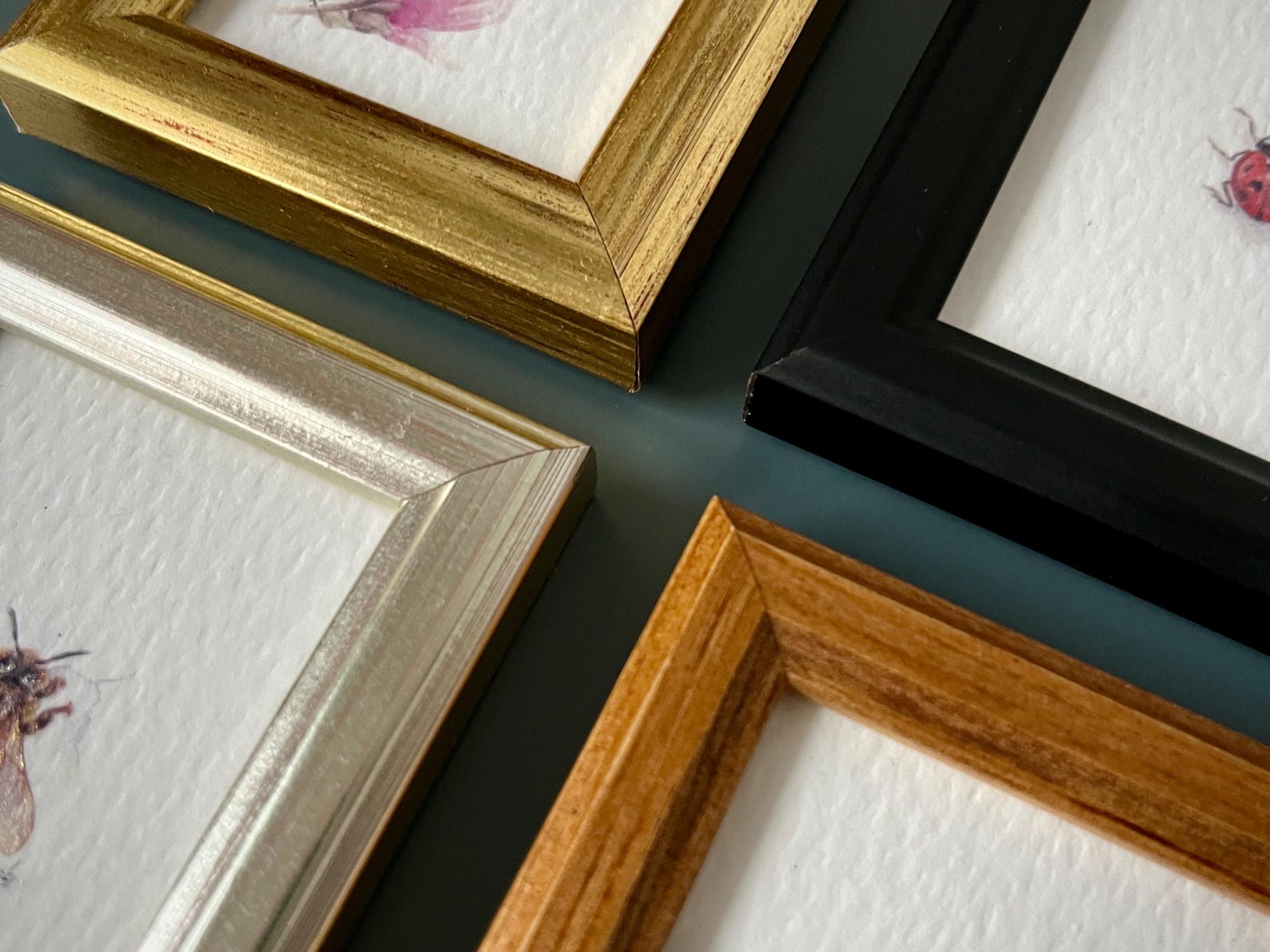 Framed Insect Print Set: Tiny Vintage Style Bug Art for Botanical ...
