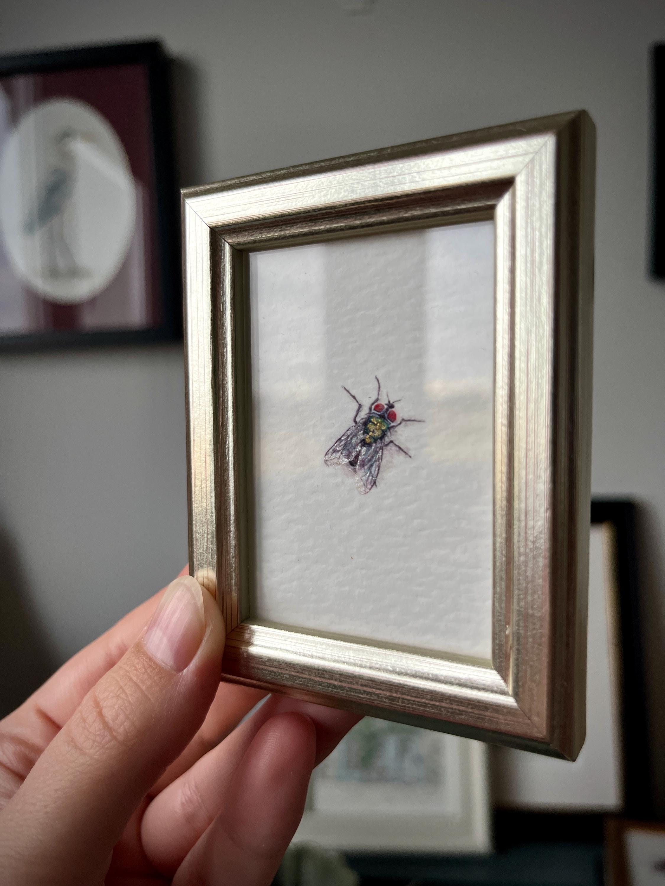 Framed Insect Print Set: Tiny Vintage Style Bug Art for Botanical ...