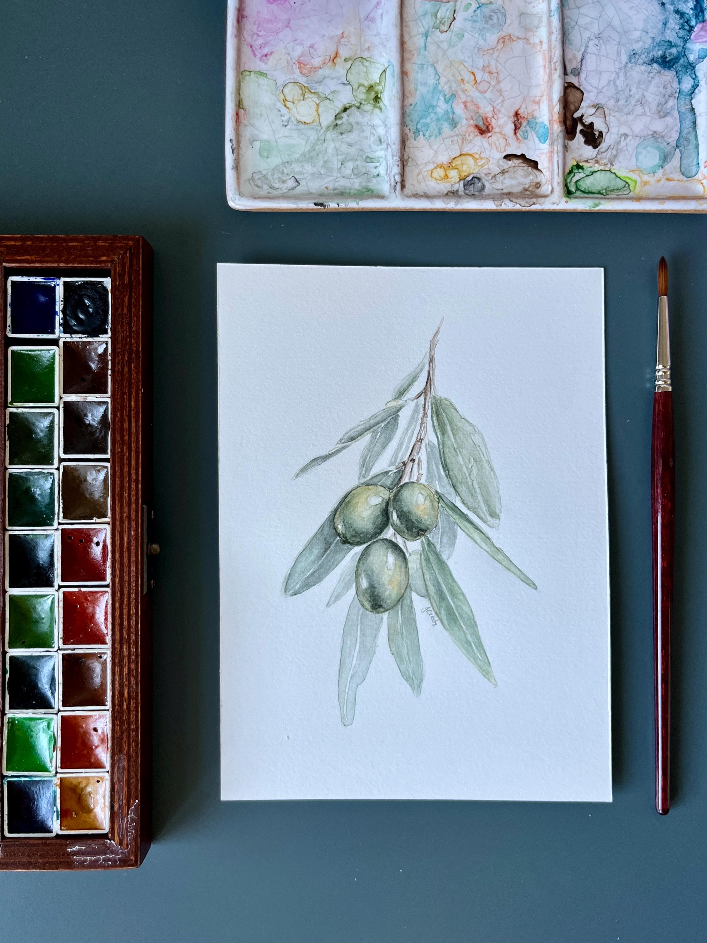 Realistic Olive Branch Botanical Print for Coastal Decor, Mediterranean ...