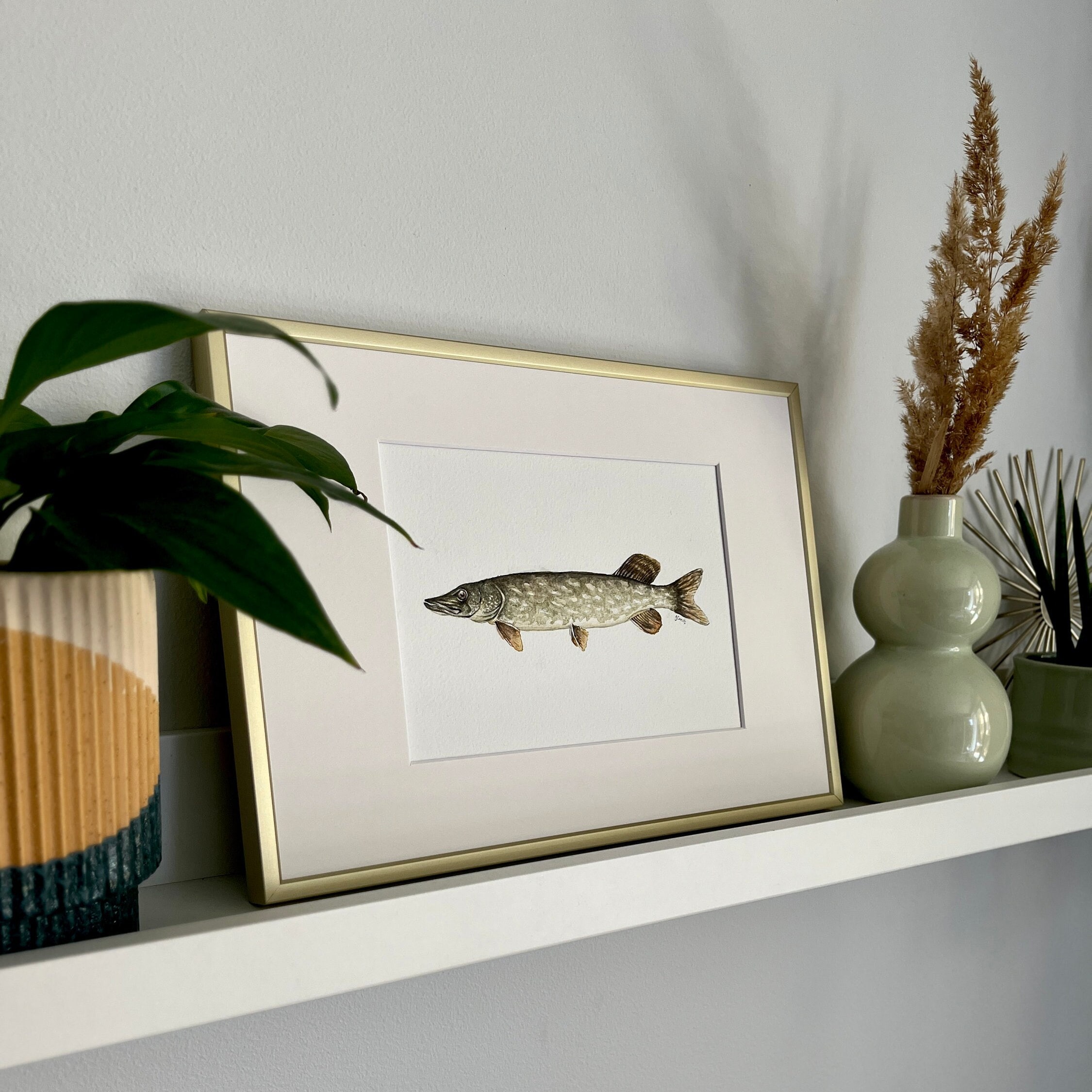 Pike Fish Realistic Watercolor Painting, Framed Art for Home, Gift for ...