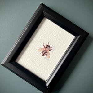 Tiny Bee Wall Art Print, Framed Miniature Art for Gallery Wall, Retro ...