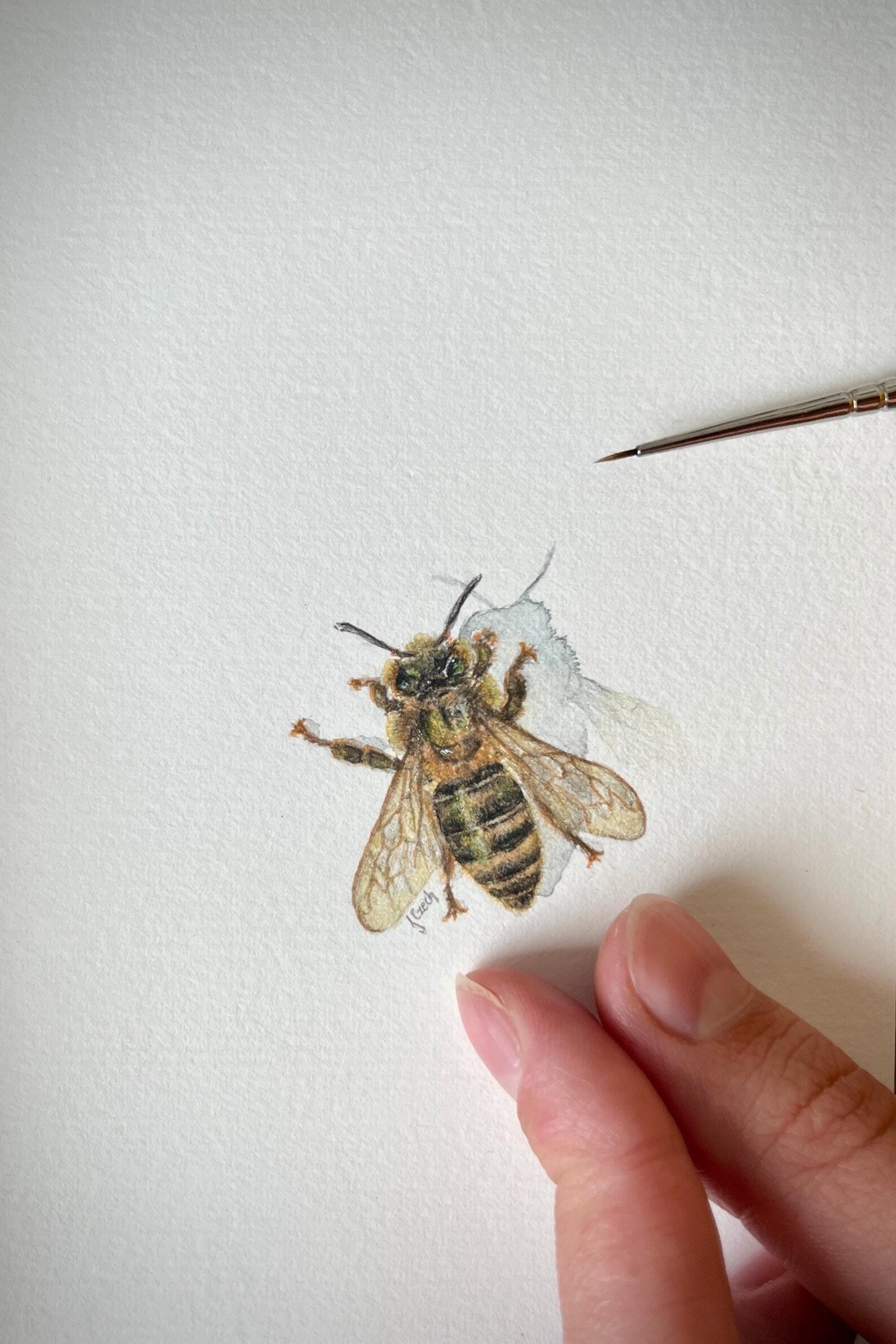 Realistic Watercolor Painting of a Bee, Minimalist Insect Artwork in a ...