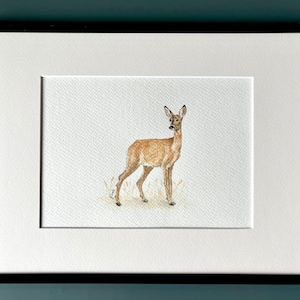 Roe Poster for Rustic Home, Framed Realistic Artwork for Living Room ...