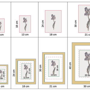 Roe Poster for Rustic Home, Framed Realistic Artwork for Living Room ...