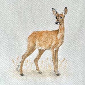 Roe Poster for Rustic Home, Framed Realistic Artwork for Living Room ...