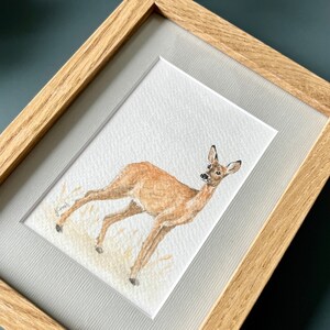 Roe Poster for Rustic Home, Framed Realistic Artwork for Living Room ...