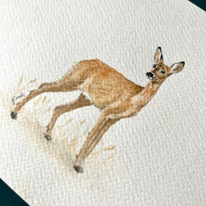 Roe Poster for Rustic Home, Framed Realistic Artwork for Living Room ...