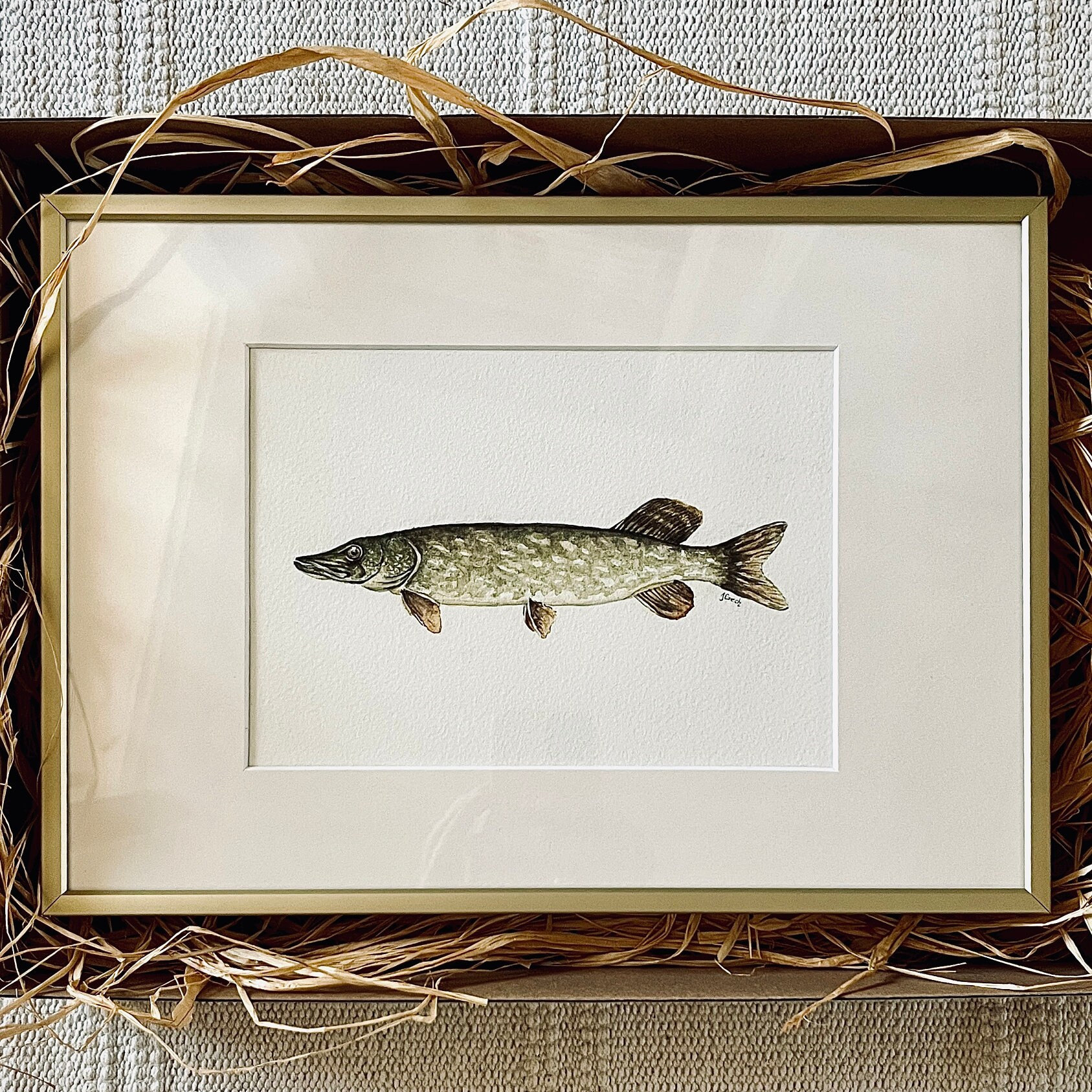 Pike Fish Realistic Watercolor Painting, Framed Art for Home, Gift for ...