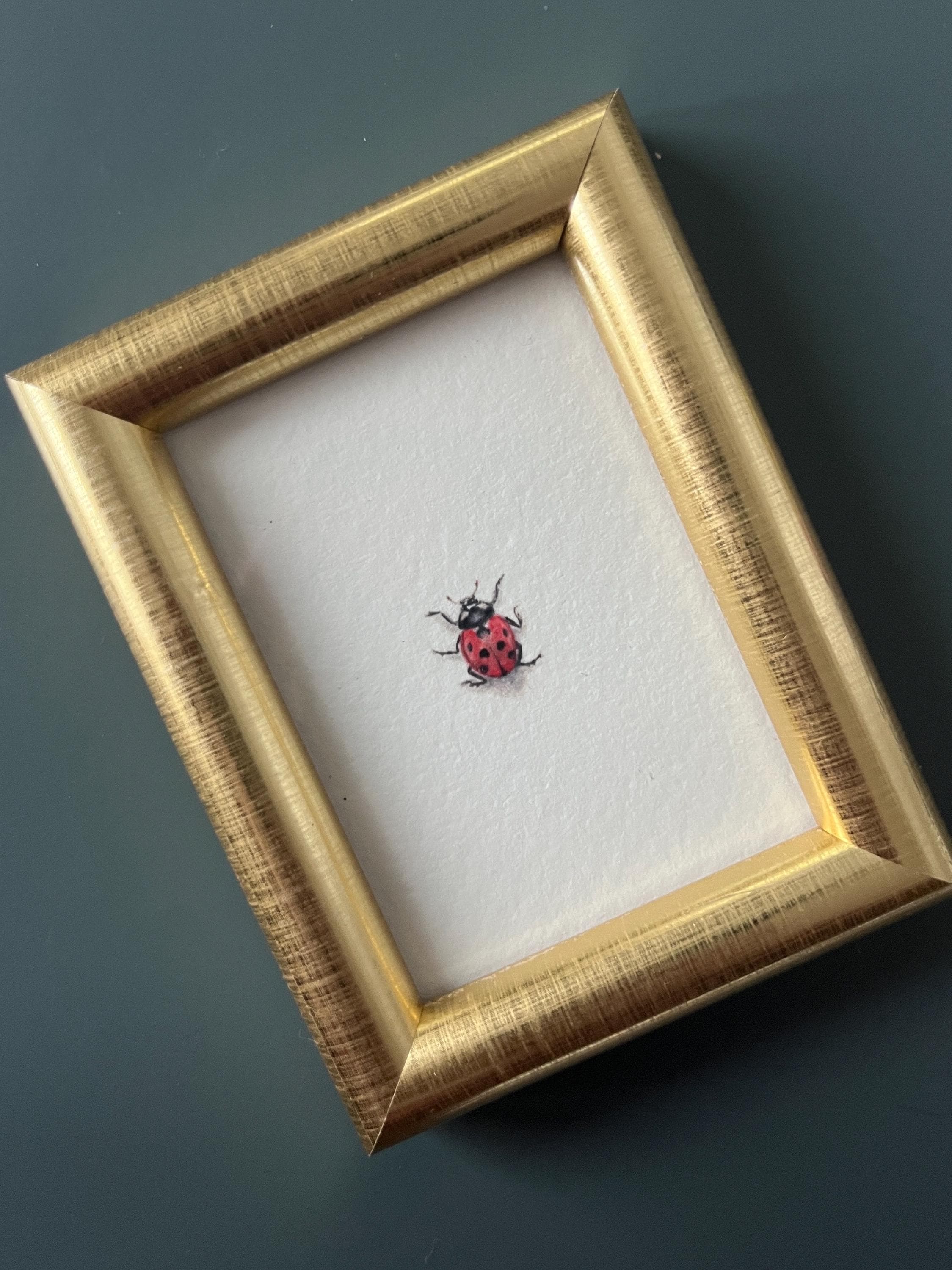 Framed Insect Print Set: Tiny Vintage Style Bug Art for Botanical ...