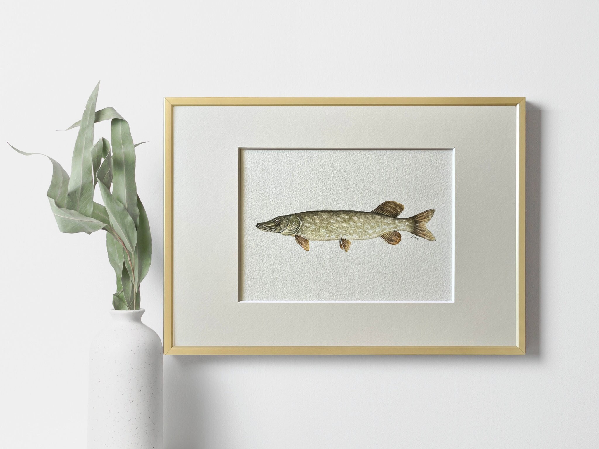 Pike Fish Realistic Watercolor Painting, Framed Art for Home, Gift for ...