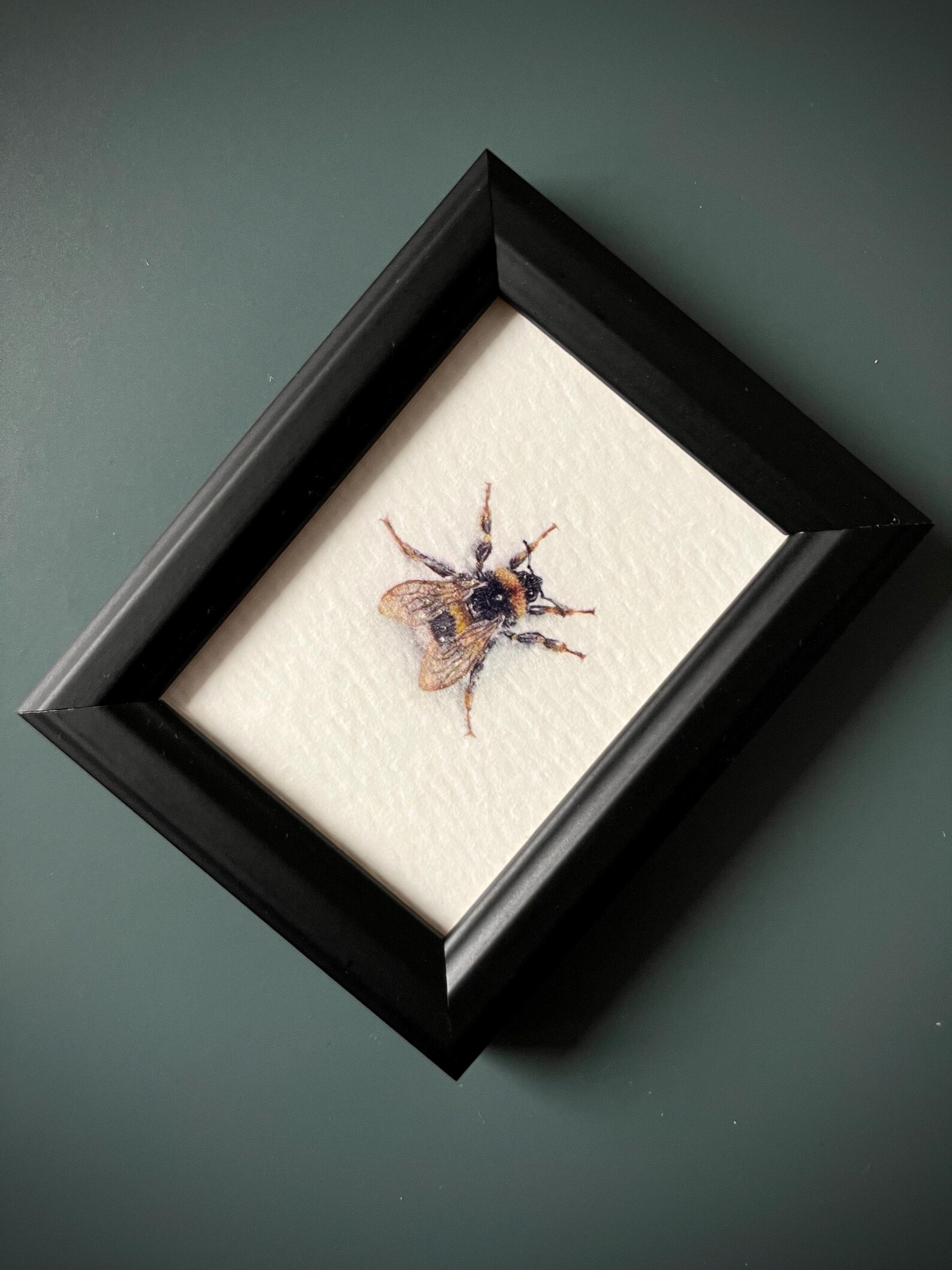 Framed Insect Print Set: Tiny Vintage Style Bug Art for Botanical ...