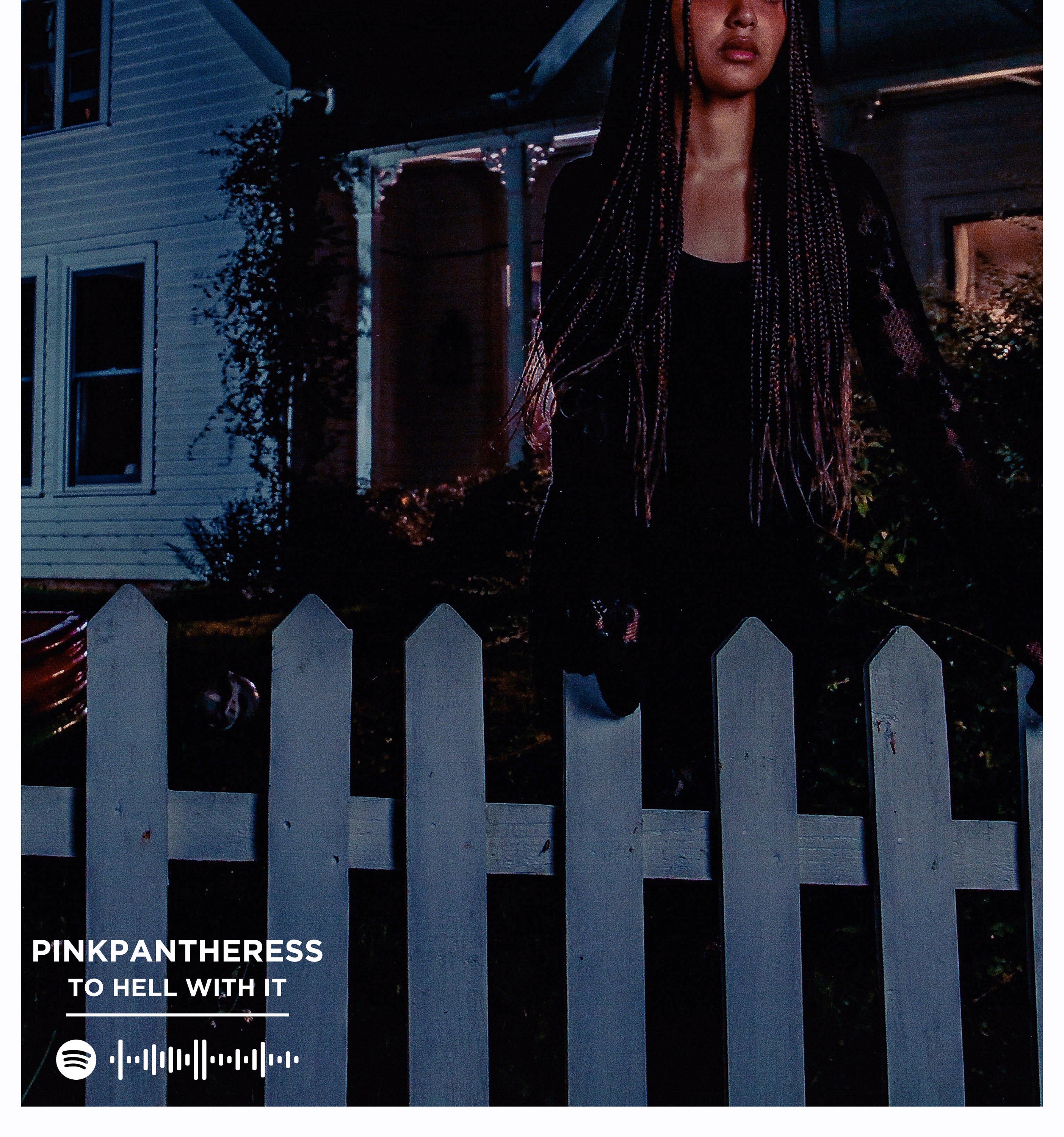 Pinkpantheress to Hell With It Album Poster / Album Cover - Etsy UK