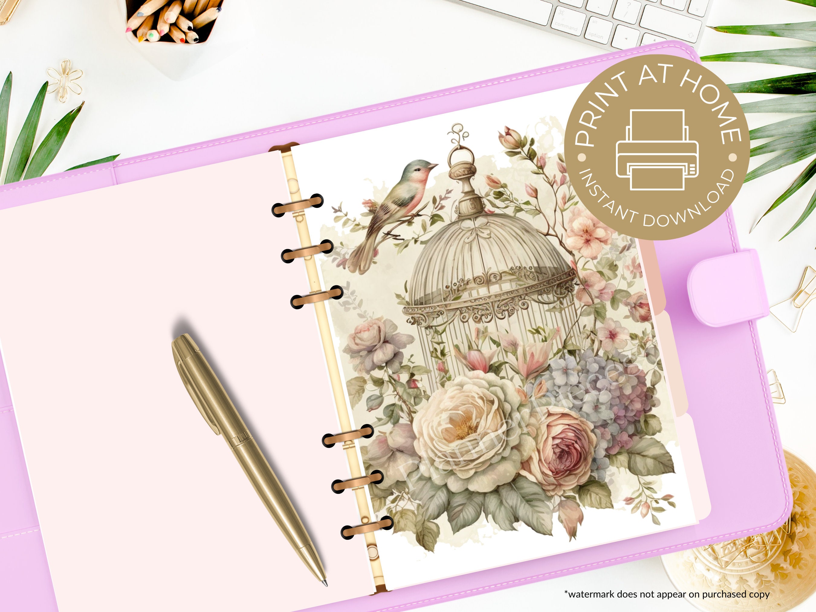 Bird Cage Planner Dashboard Printable, Planner Printable, Happy Planner ...