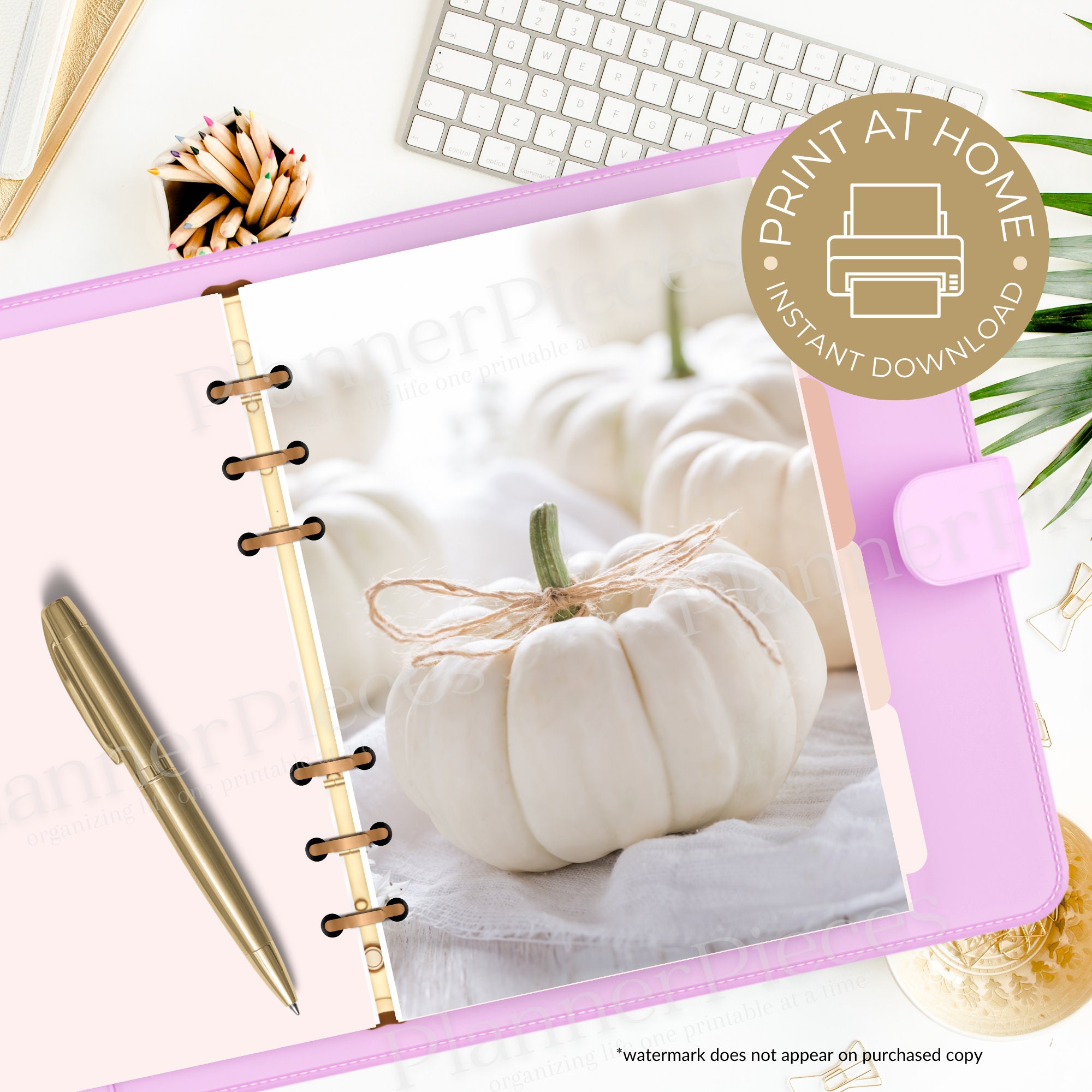 Pumpkin Planner Dashboard Printable, Planner Printable, Happy Planner ...