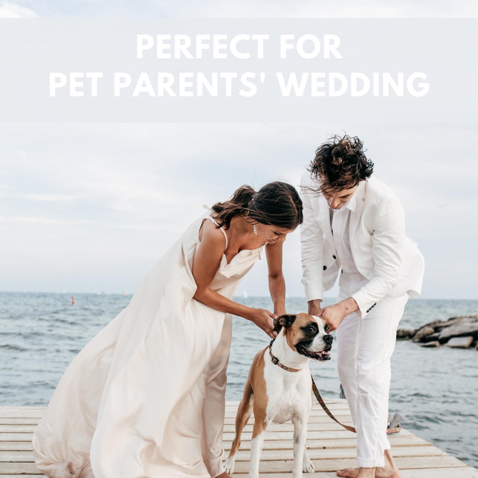 Pet Wedding Welcome Sign Pet of Honor Sign Wedding Pet Sign Wedding ...