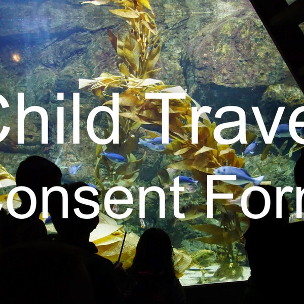 Minor Travel Consent Form Notarize Etsy Minor Travel Consent Form Notarize Etsy