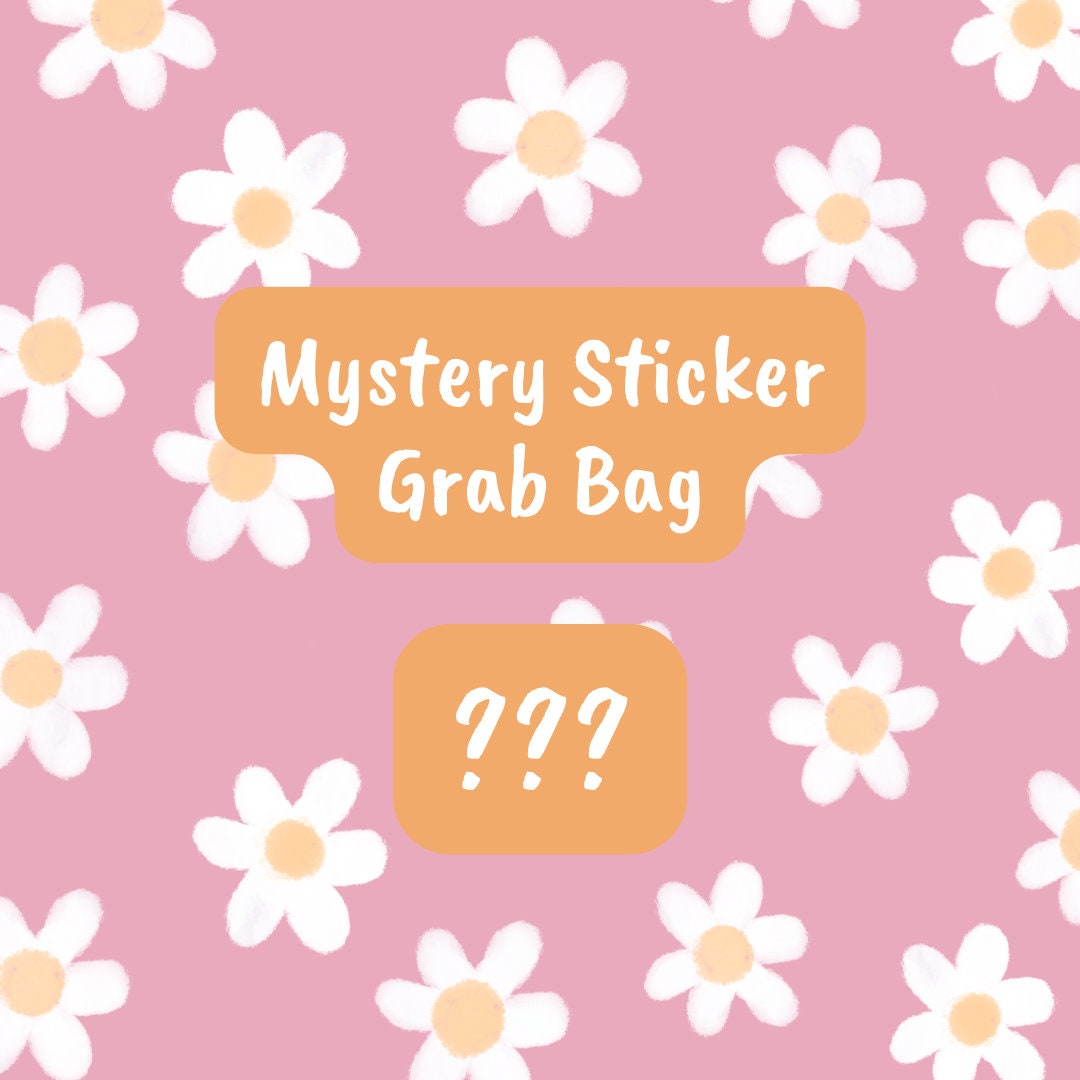 Cute Mystery Sticker Grab Bag Random Sticker Pack Sticker - Etsy