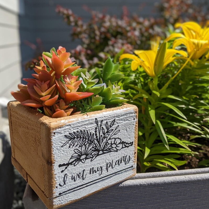Square Cedar Planter Box - Etsy