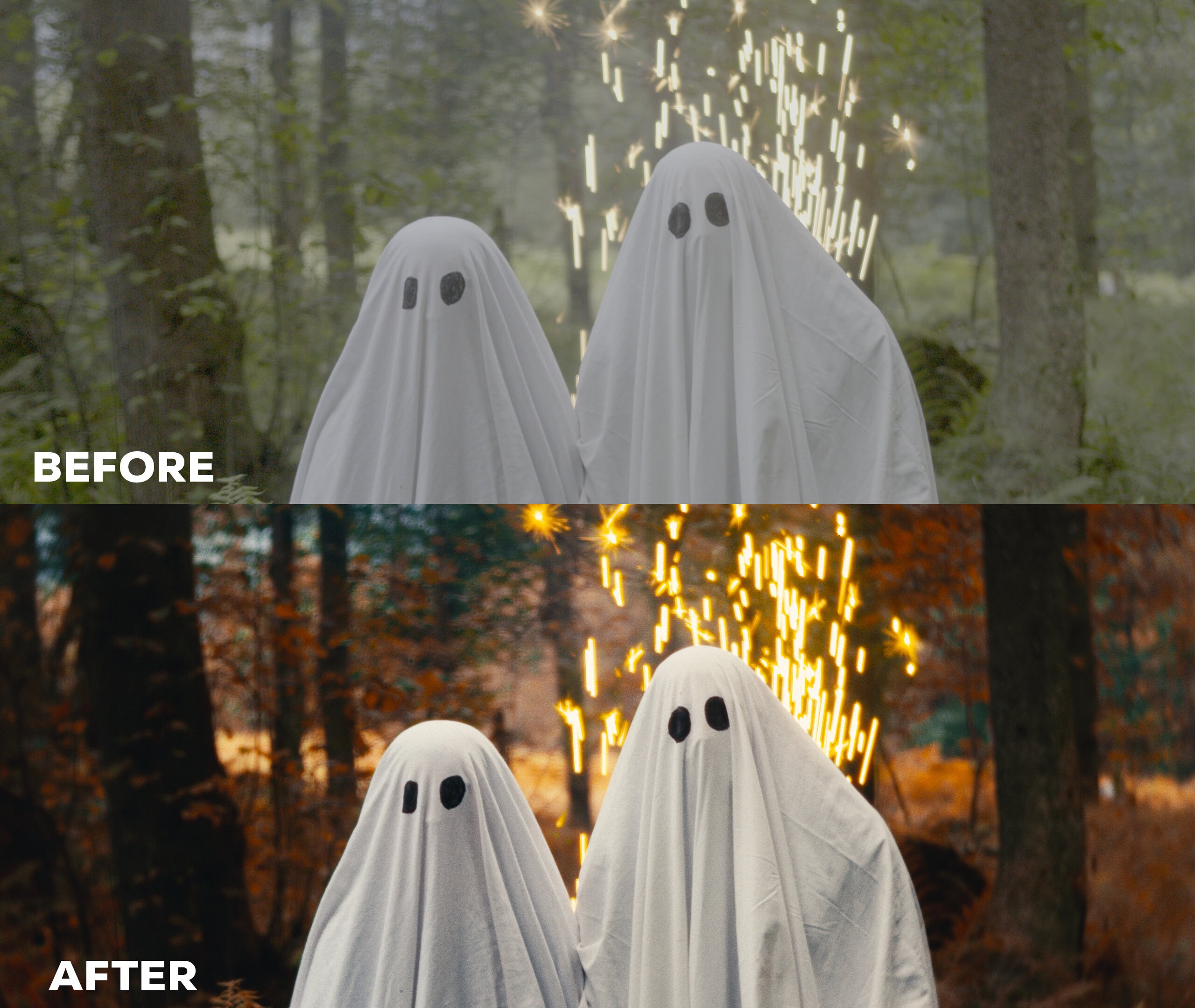 Autumn | Cinematic LUT for Color Grading S-LOG3 - Etsy