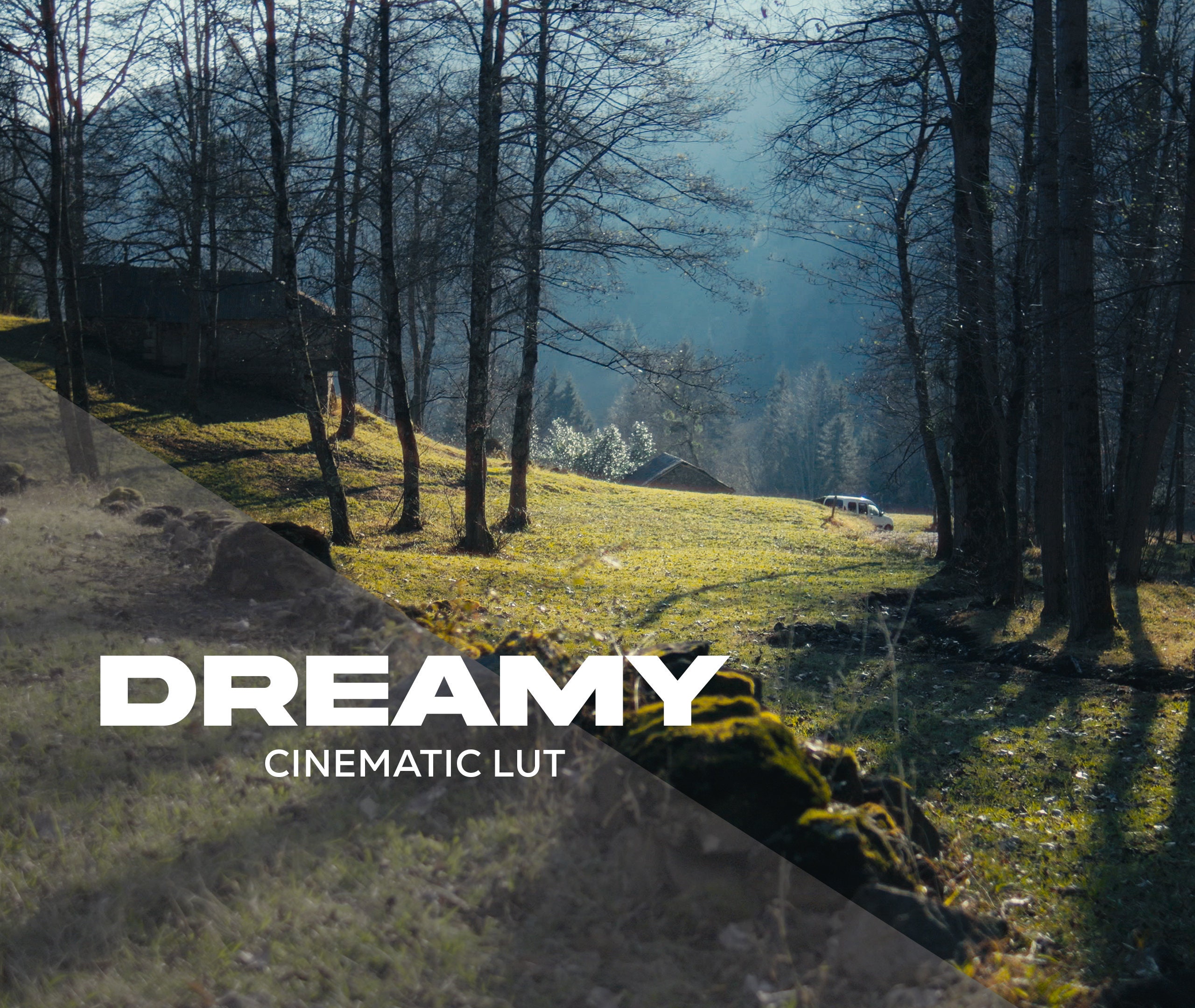 Dreamy | Cinematic LUT for Color Grading S-LOG3 - Etsy