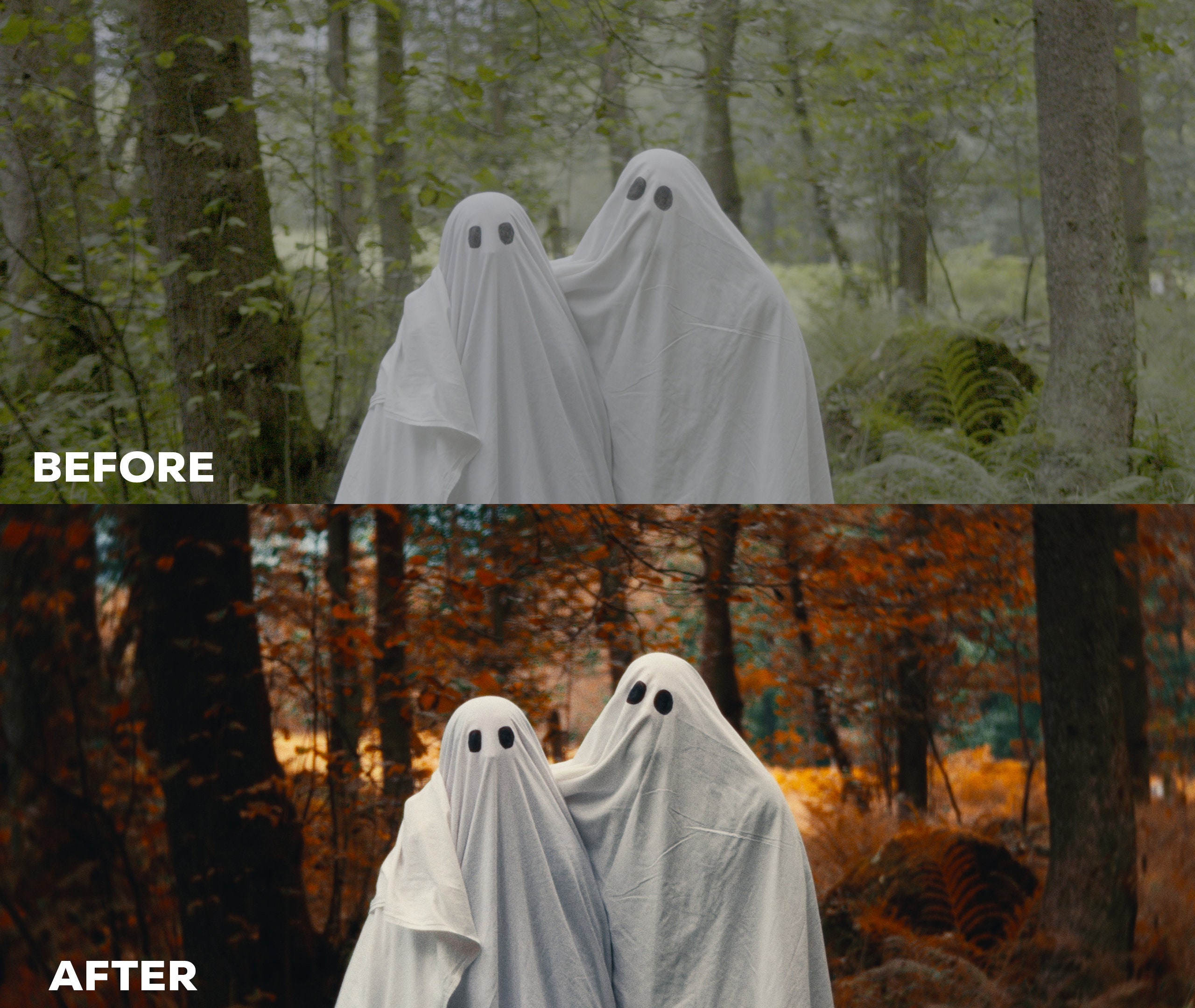 Autumn | Cinematic LUT for Color Grading S-LOG3 - Etsy