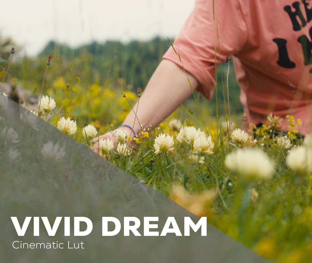Vivid Dream | Cinematic LUT for Color Grading S-LOG3 - Etsy