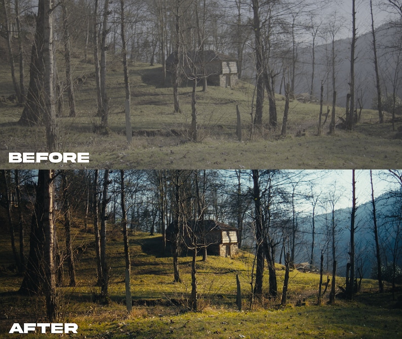 Dreamy | Cinematic LUT for Color Grading S-LOG3 - Etsy