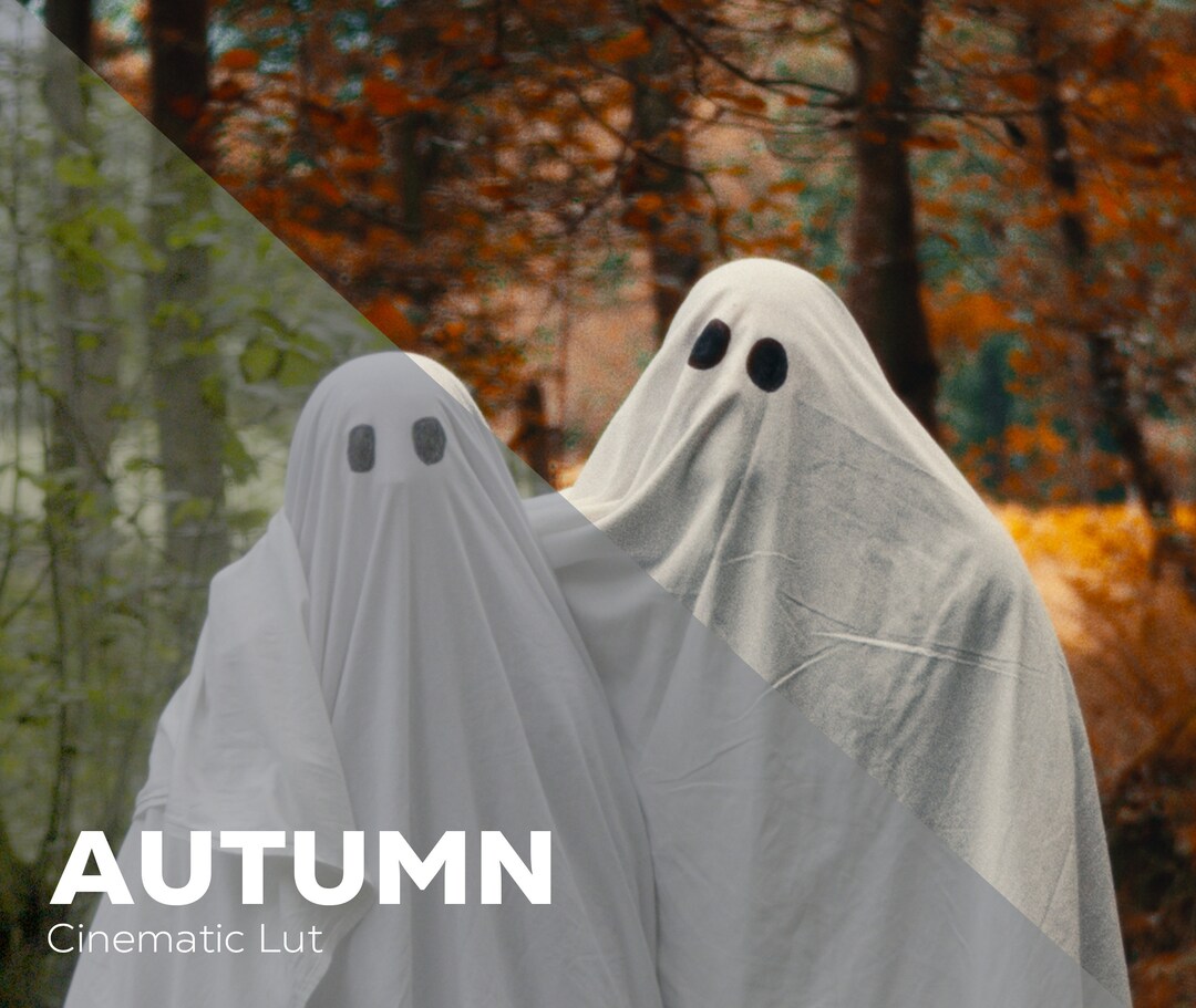 Autumn | Cinematic LUT for Color Grading S-LOG3 - Etsy