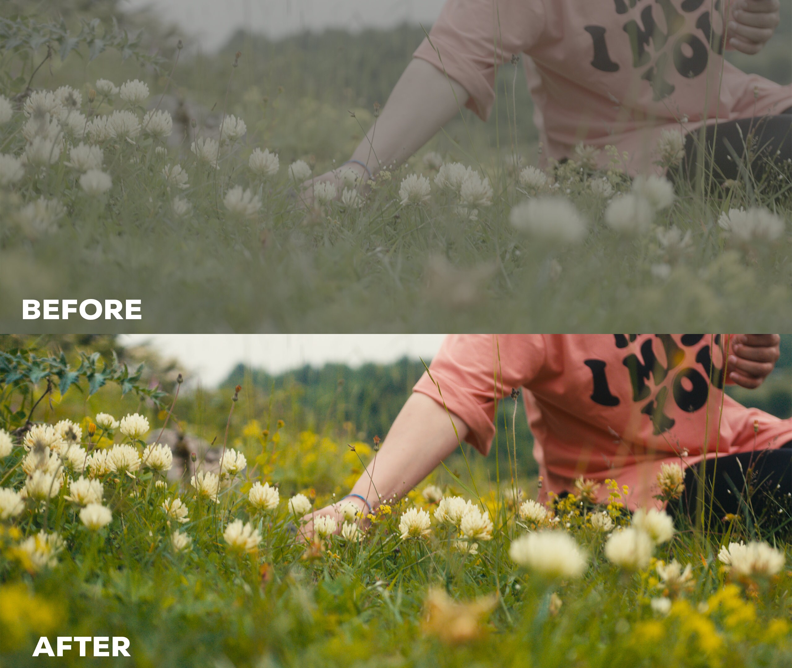 Vivid Dream | Cinematic LUT for Color Grading S-LOG3 - Etsy