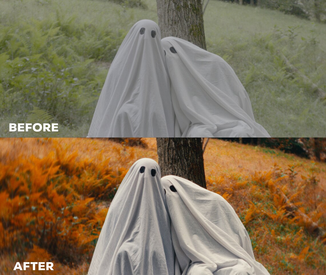 Autumn | Cinematic LUT for Color Grading S-LOG3 - Etsy