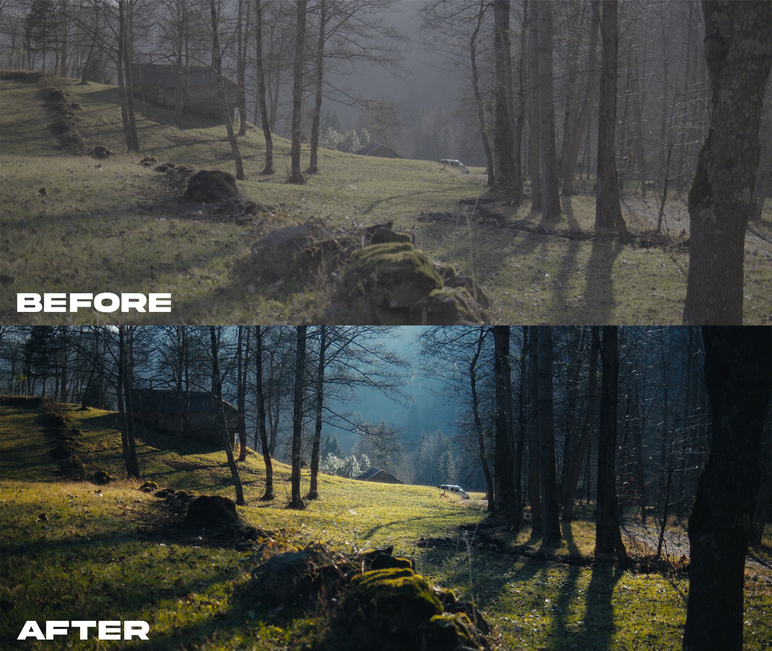 Dreamy | Cinematic LUT for Color Grading S-LOG3 - Etsy