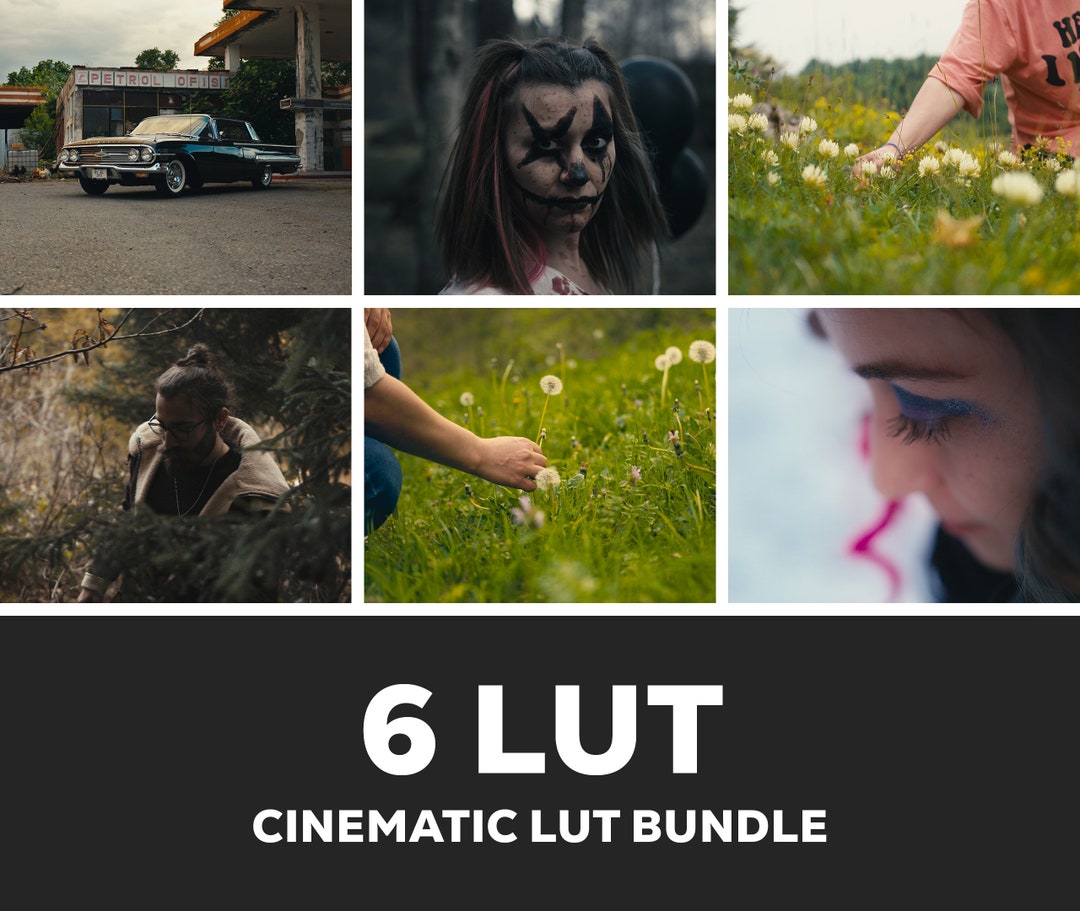 Bundle | 6 Luts | Cinematic LUT for Color Grading S-LOG3 - Etsy