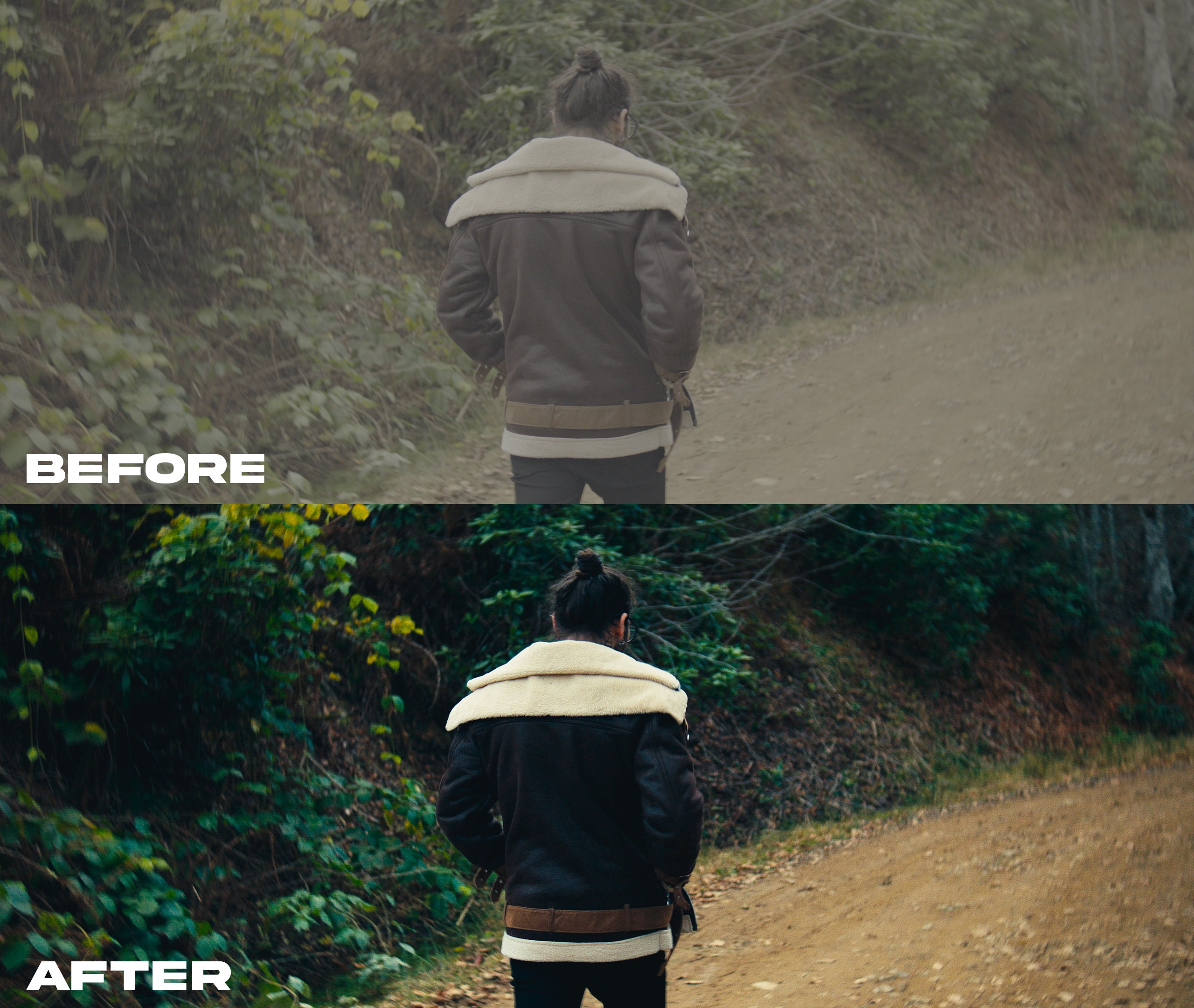 Woods | Cinematic LUT for Color Grading S-LOG3 - Etsy