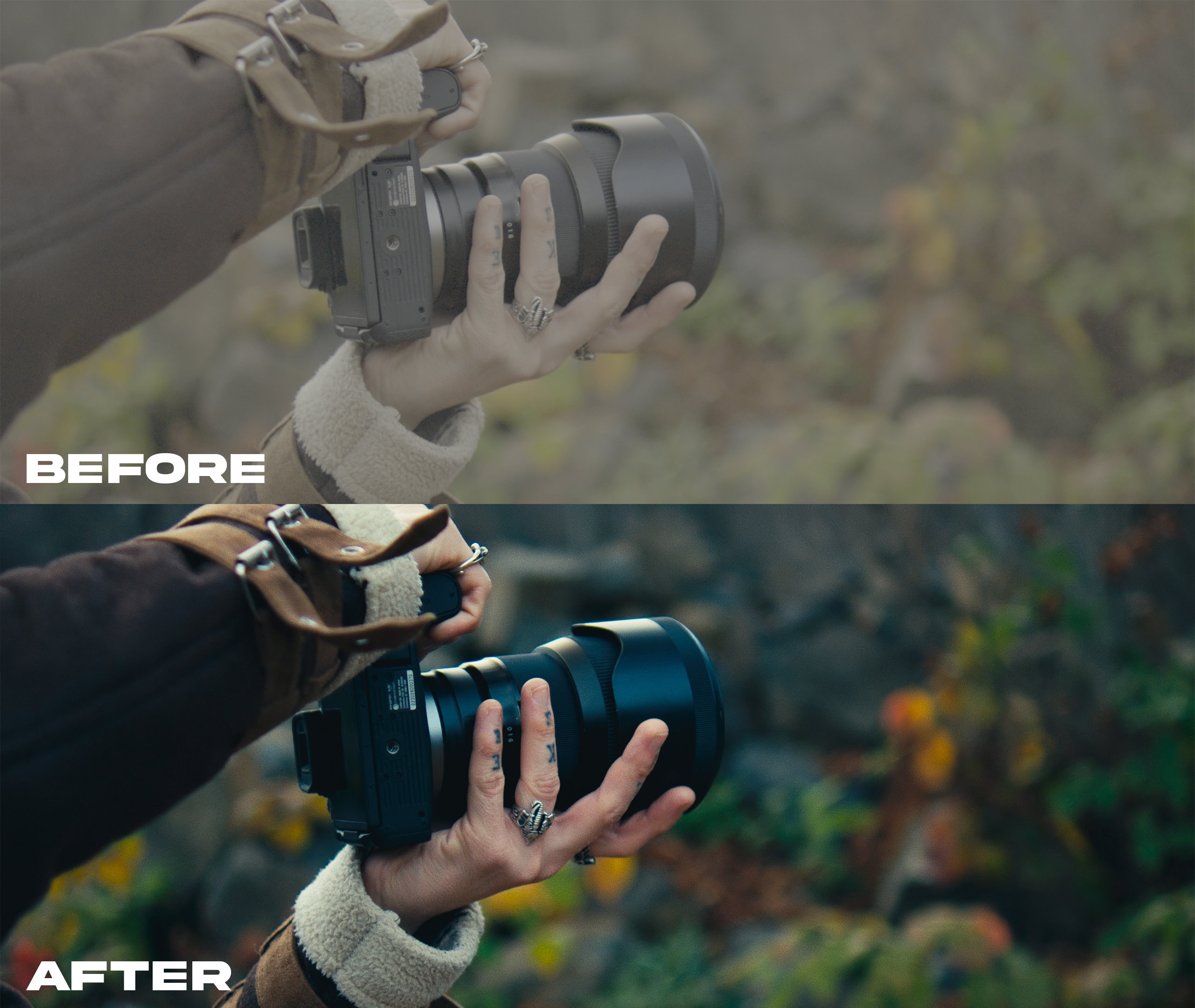 Woods | Cinematic LUT for Color Grading S-LOG3 - Etsy