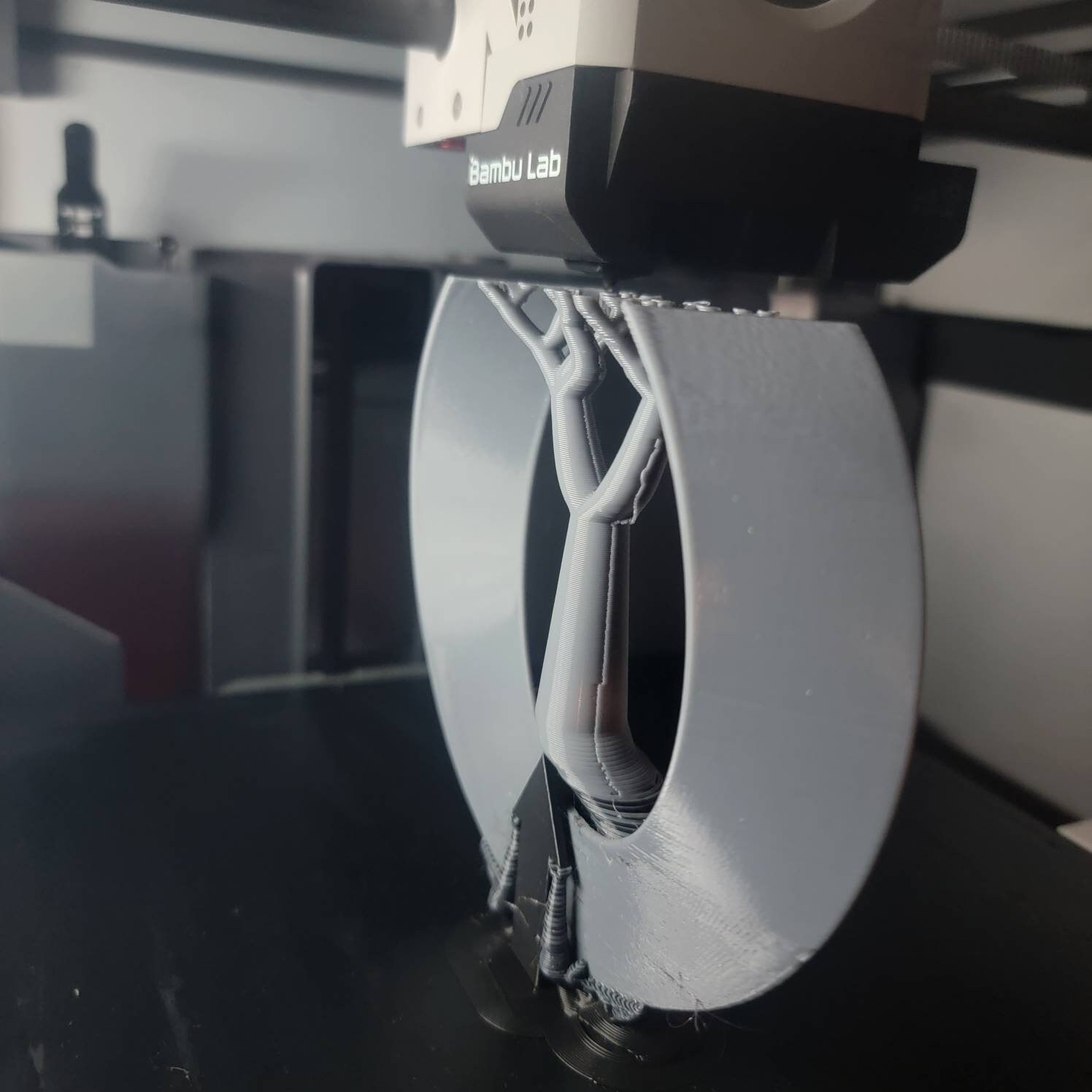 Mobius Strip With Arrow, Math Demonstration of Nonorientability - Etsy