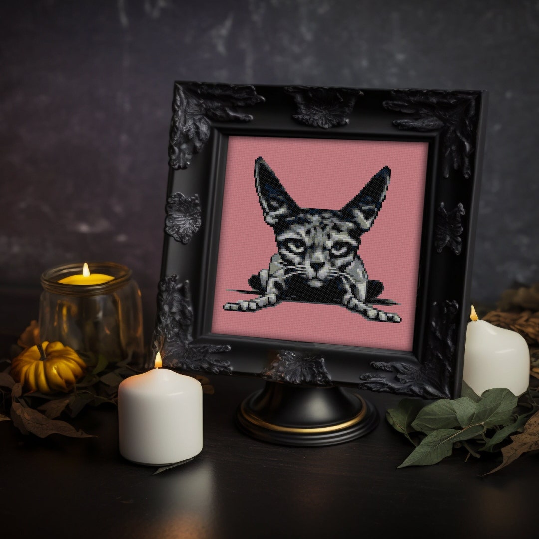 Grim Cat, Fierce Feline, Menacing Moggy, Sphinx, Gothic, Spooky, Scary ...