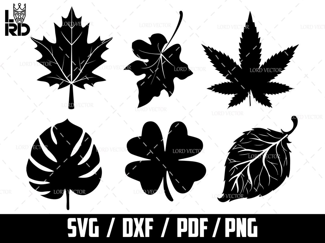 6 Leaf Bundle SVG, Tropical Leaves PNG, Monstera Leafs, Leafs ...