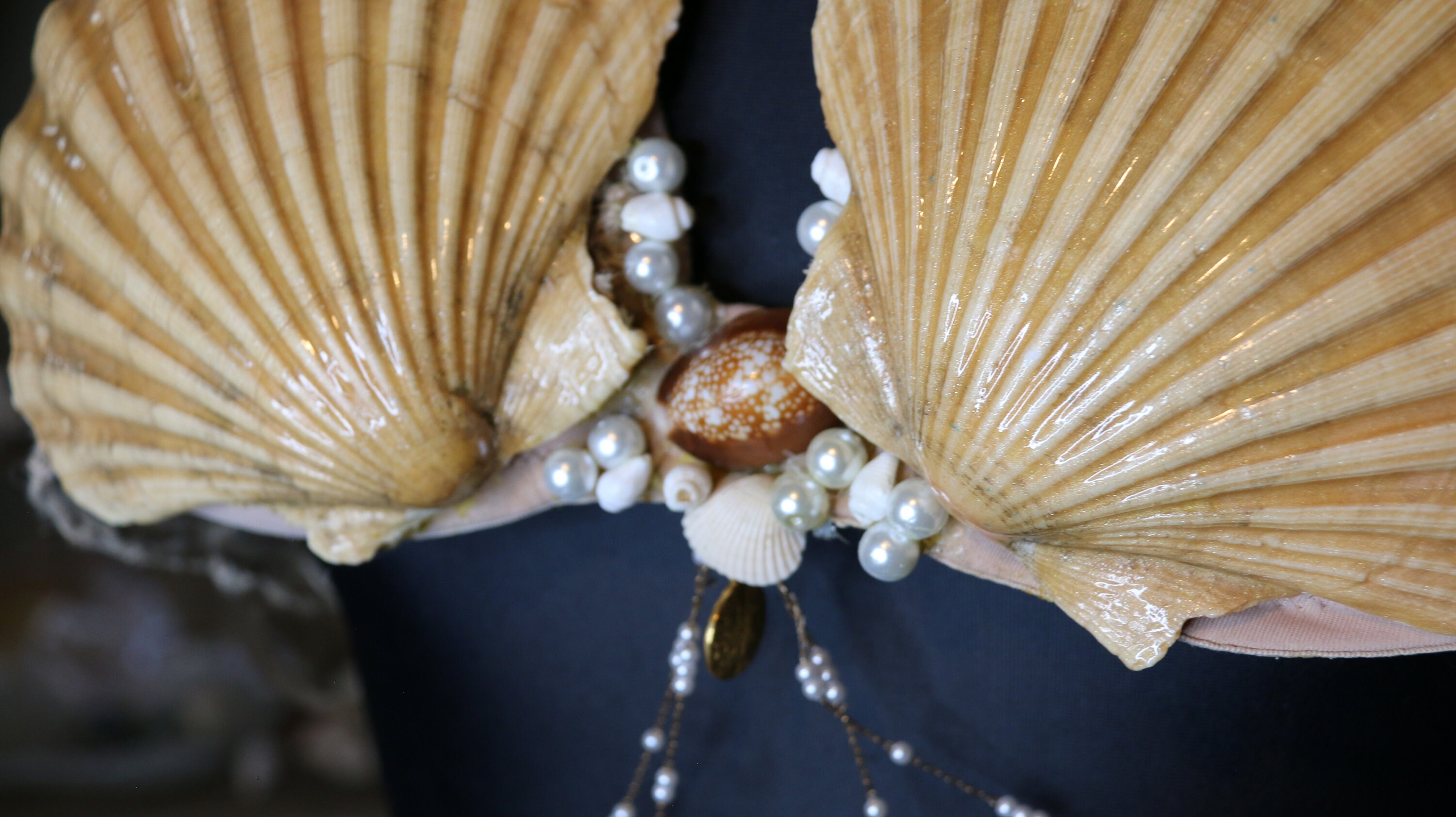 Custom Seashell Mermaid Bra for Swimming | Festival Costume Siren Top ...