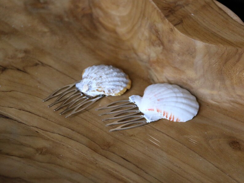 Seashell Hair Comb - Etsy