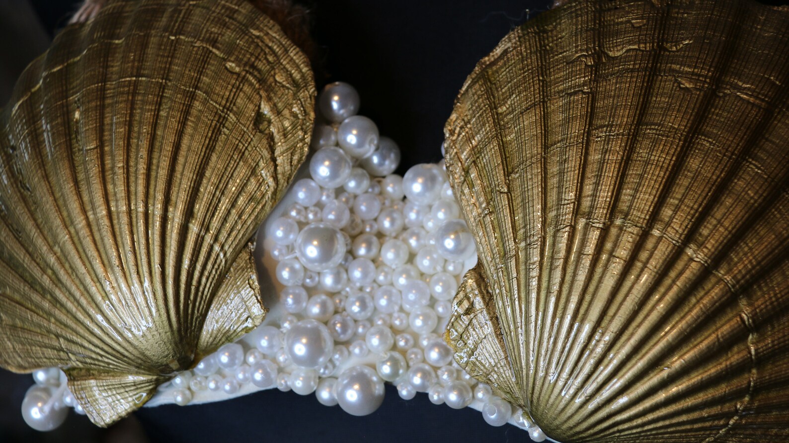 Custom Seashell Mermaid Bra for Swimming | Festival Costume Siren Top ...