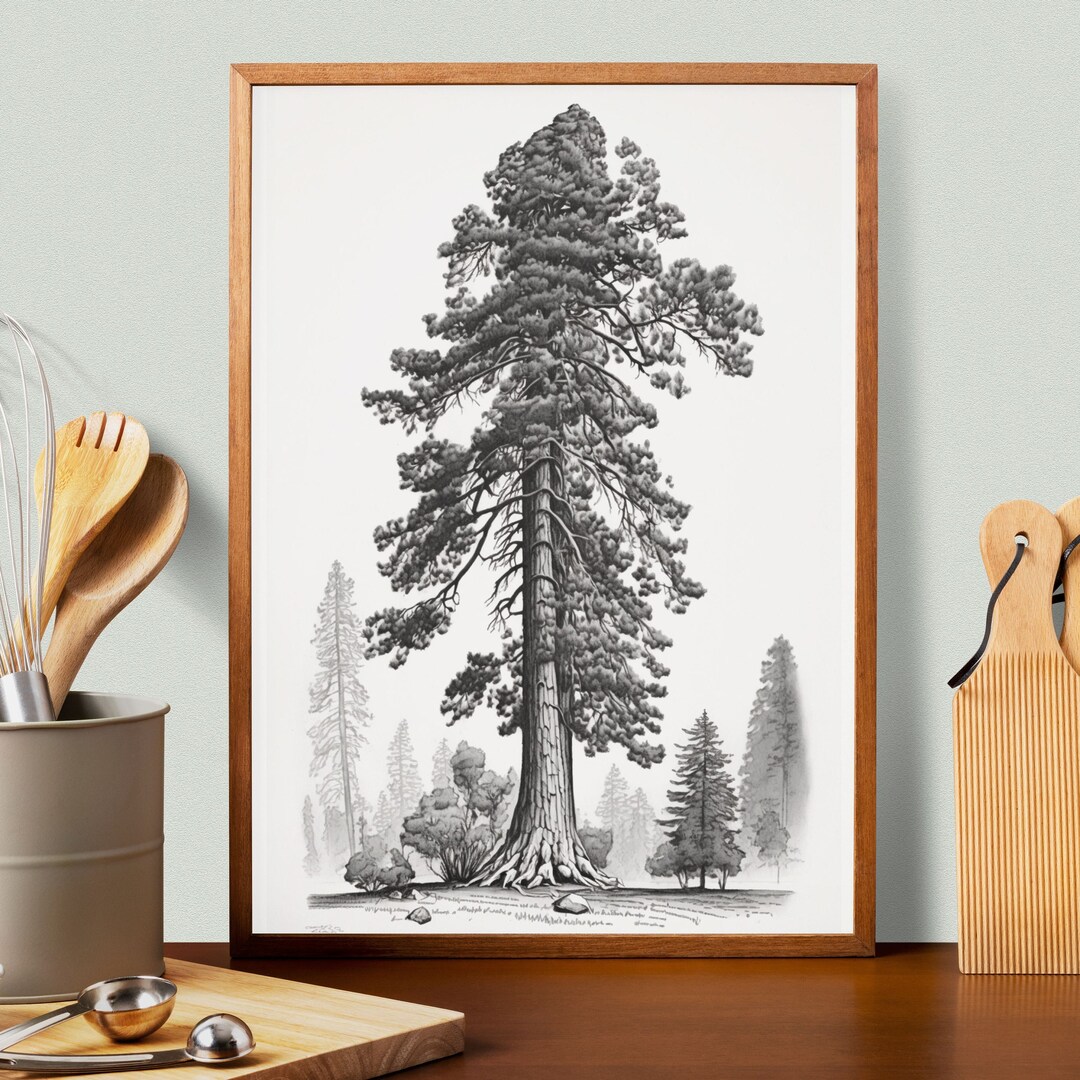 Minimalist Giant Sequoia Sketch Poster | Black and White Download - Etsy