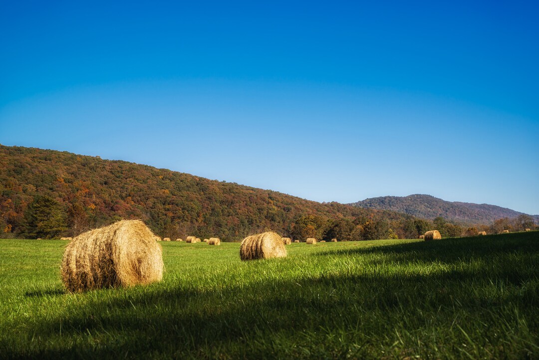 Farm Scene Photo Print Home Decor Wall Art Large Print - Etsy