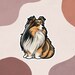 Sheltie Sticker, Shetland Sheepdog Sticker, Sheltie Decal, Cute Sheltie ...