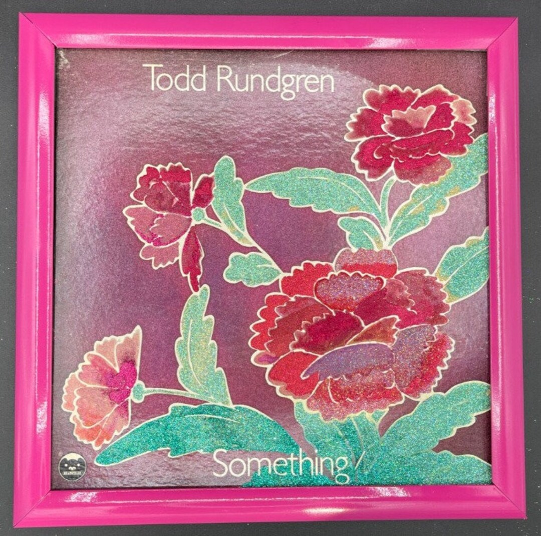 Todd Rundgren - Something/anything Glittered Vintage Record Album Cover ...