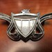 AMC Ambassador Car Emblem Logo Badge (set of 2) - Etsy