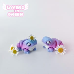 Chonky Frog STL File: Flexi Fidget Toy (digital Download) - Etsy