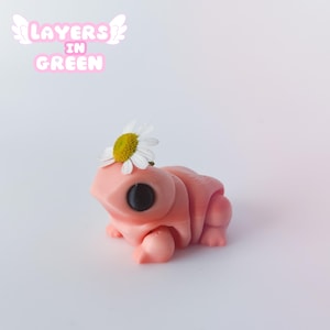 Chonky Frog STL File: Flexi Fidget Toy (digital Download) - Etsy