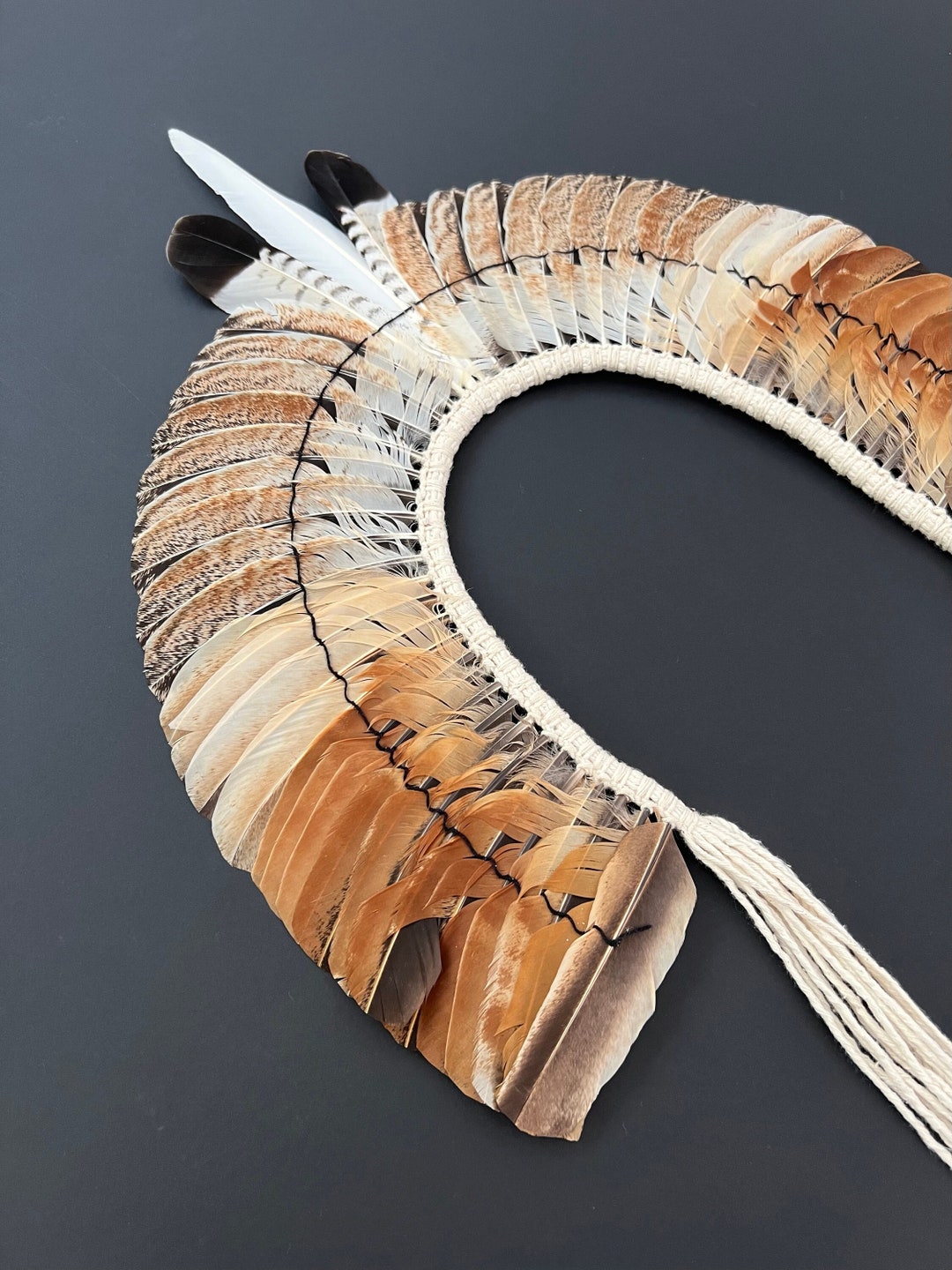 Extraordinary Kayapó Style Amazonian Indigenous Feather Headpiece ...