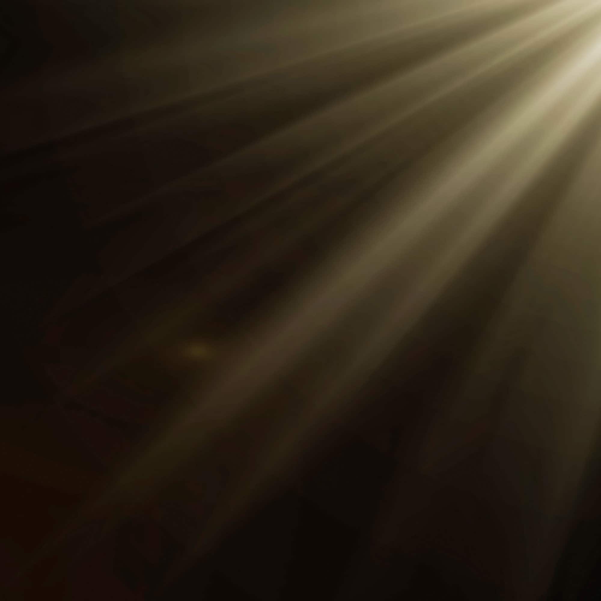 Photoshop Spotlight Overlay Photo Editing Photoshop Backgrounds and ...